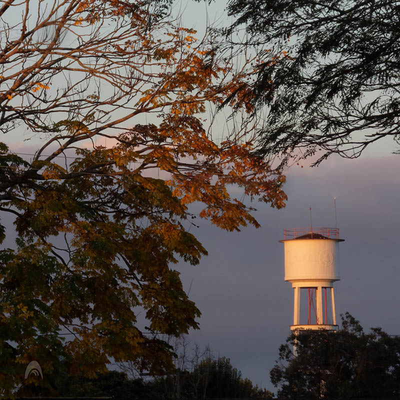 Riomafra Mix – Acompanhe as últimas notícias de Mafra/SC, Rio Negro/PR ...